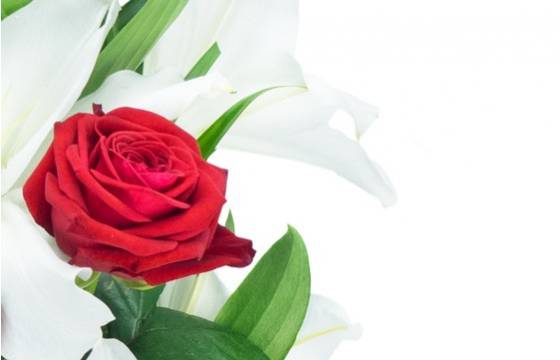 Bouquet linéaire de deuil Mystère de Roses | Livraison 7j/7 en 4h ...